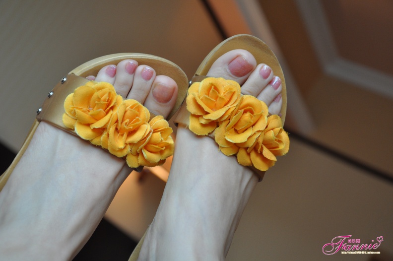 DSC 0256 | （福妹）主题相册